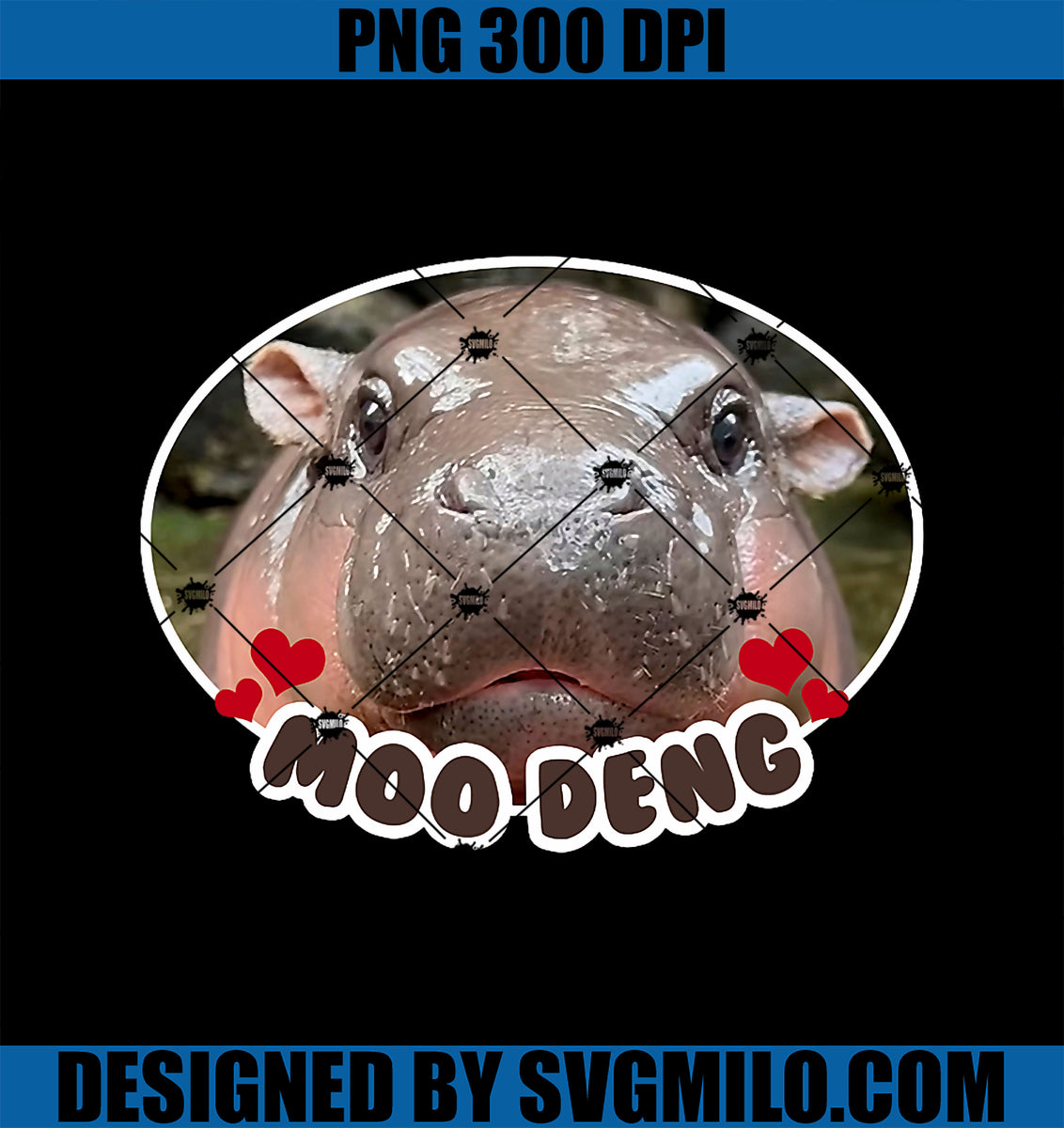 MooDengBouncyPiginThaiPictureTheCuteBabyHippoPNGcopy_1a2055f5-4c74-4375 ...