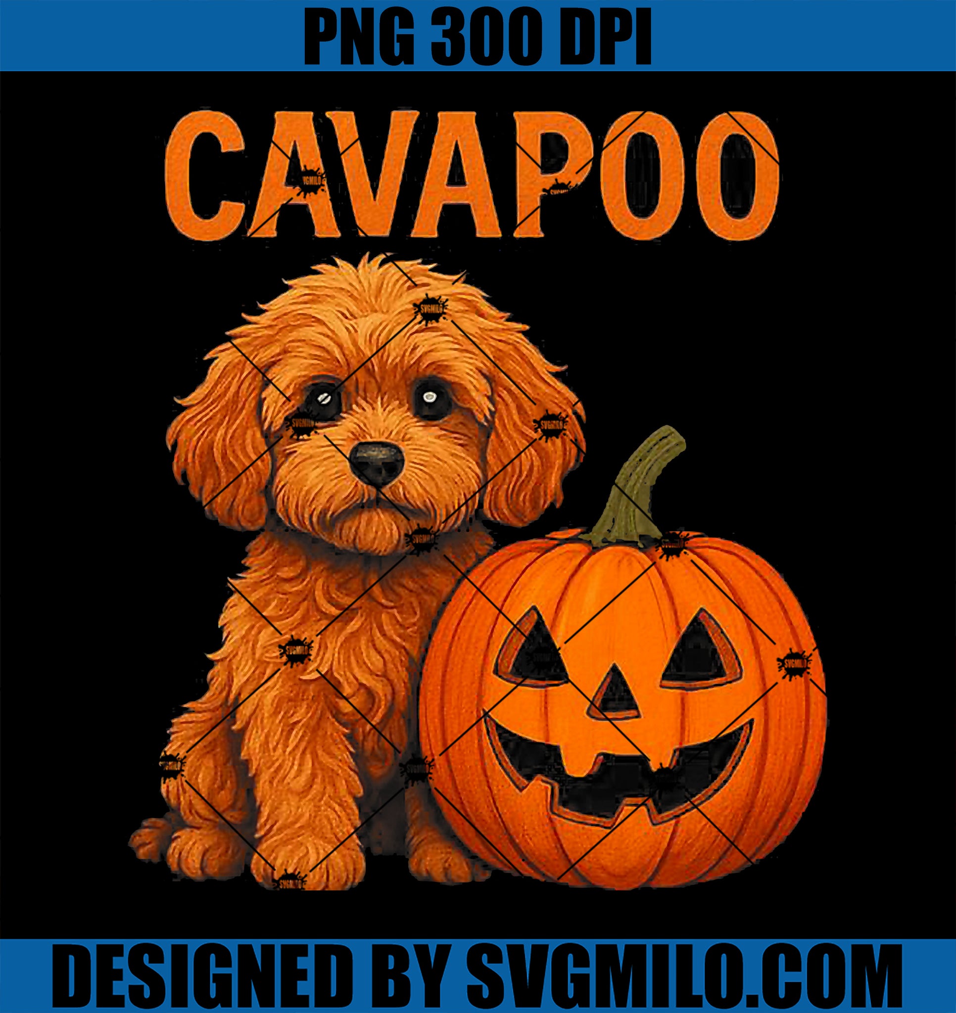 Cavapoo Pumpkin PNG, Halloween PNG