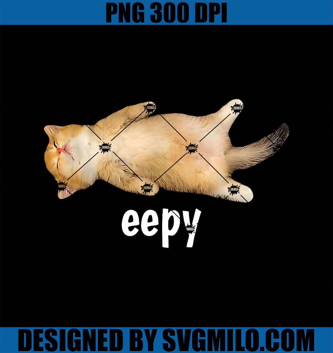 EepyCatMemePNG_FunnySleepyCatViralGenZSarcasticHumorPNGcopy_1200x1200 ...