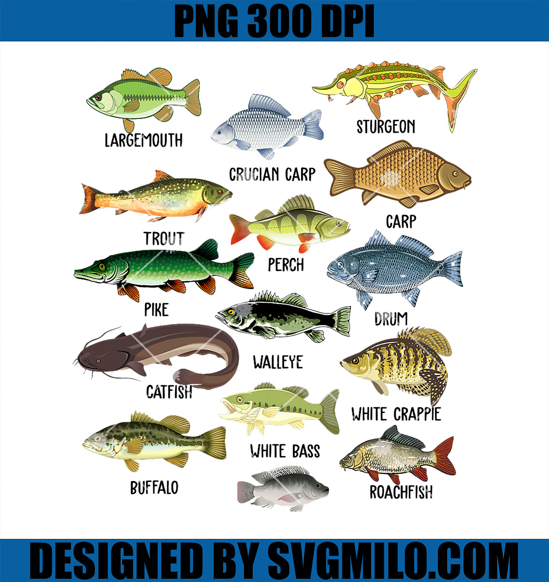 FishingTypesFreshwaterFishPNG_FunnyBassDadGraphicPNGcopy_e9dee802-8efe-48e5-806c-99e474fa47dc ...