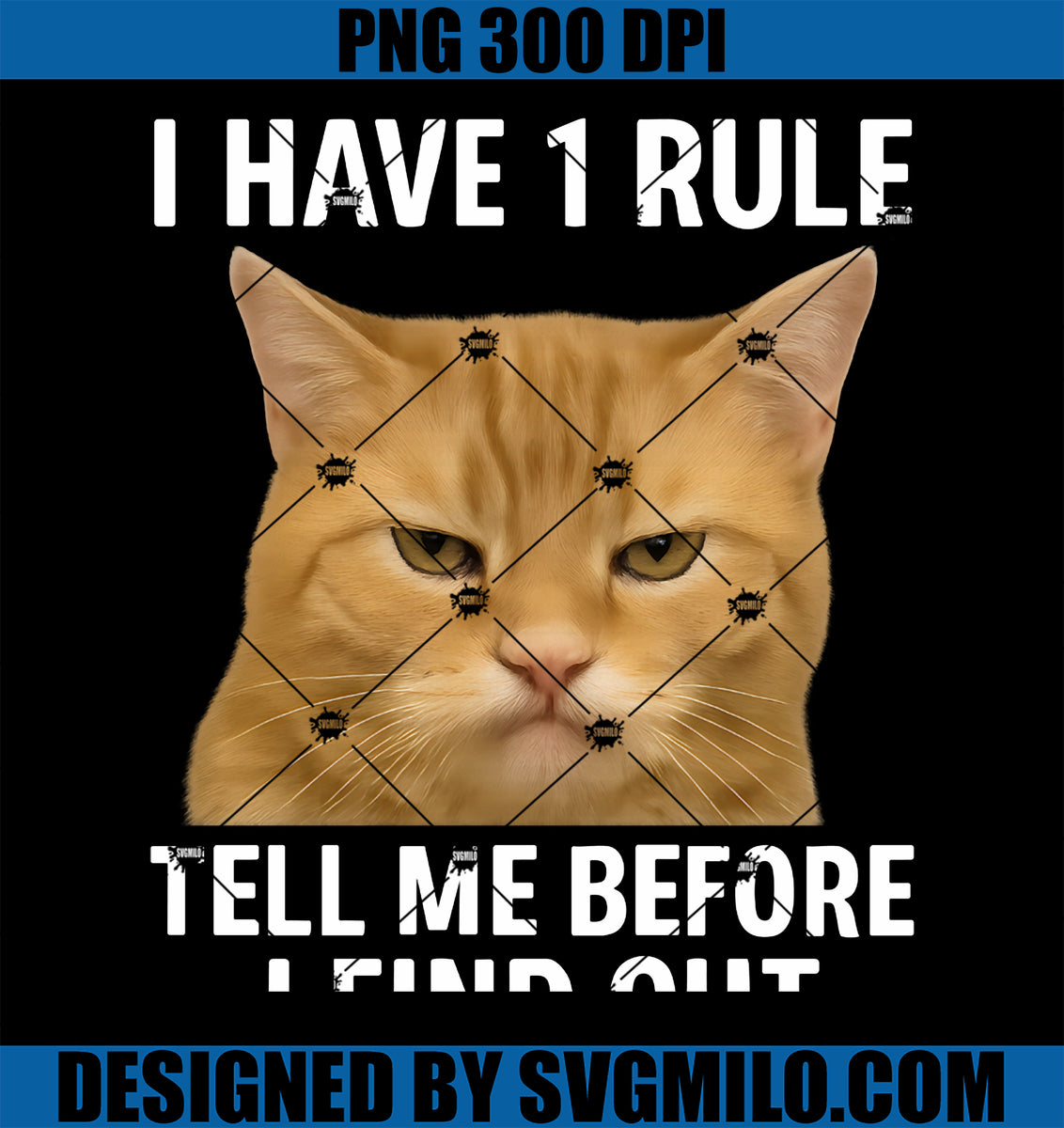 FunnyCatMemePNG_TellMeBeforeIFindOutPNGcopy_1200x1200.jpg?v=1754902012