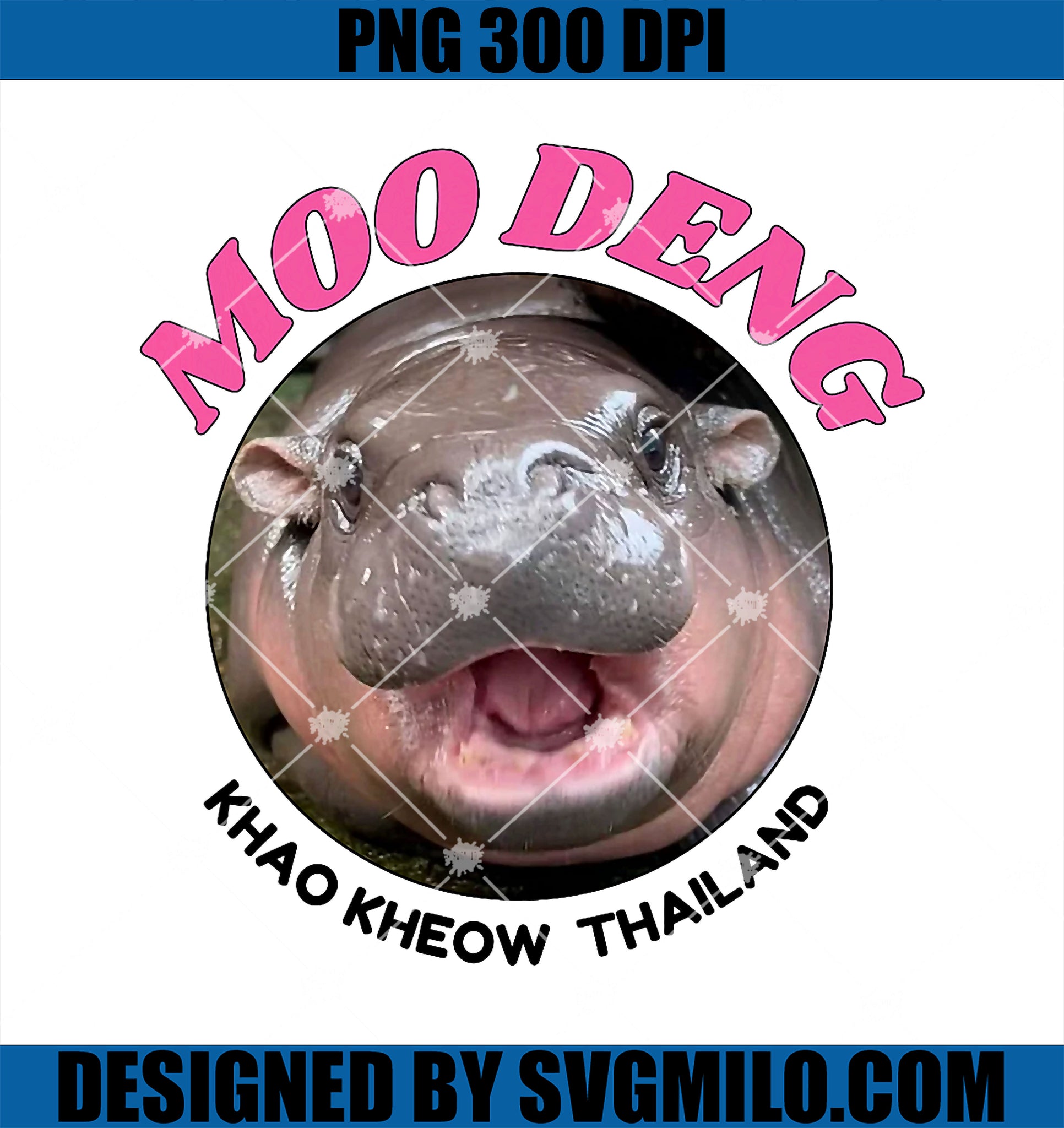 Moo Deng Bouncy Pygmy in Thai PNG, The Cute Baby Hippo PNG