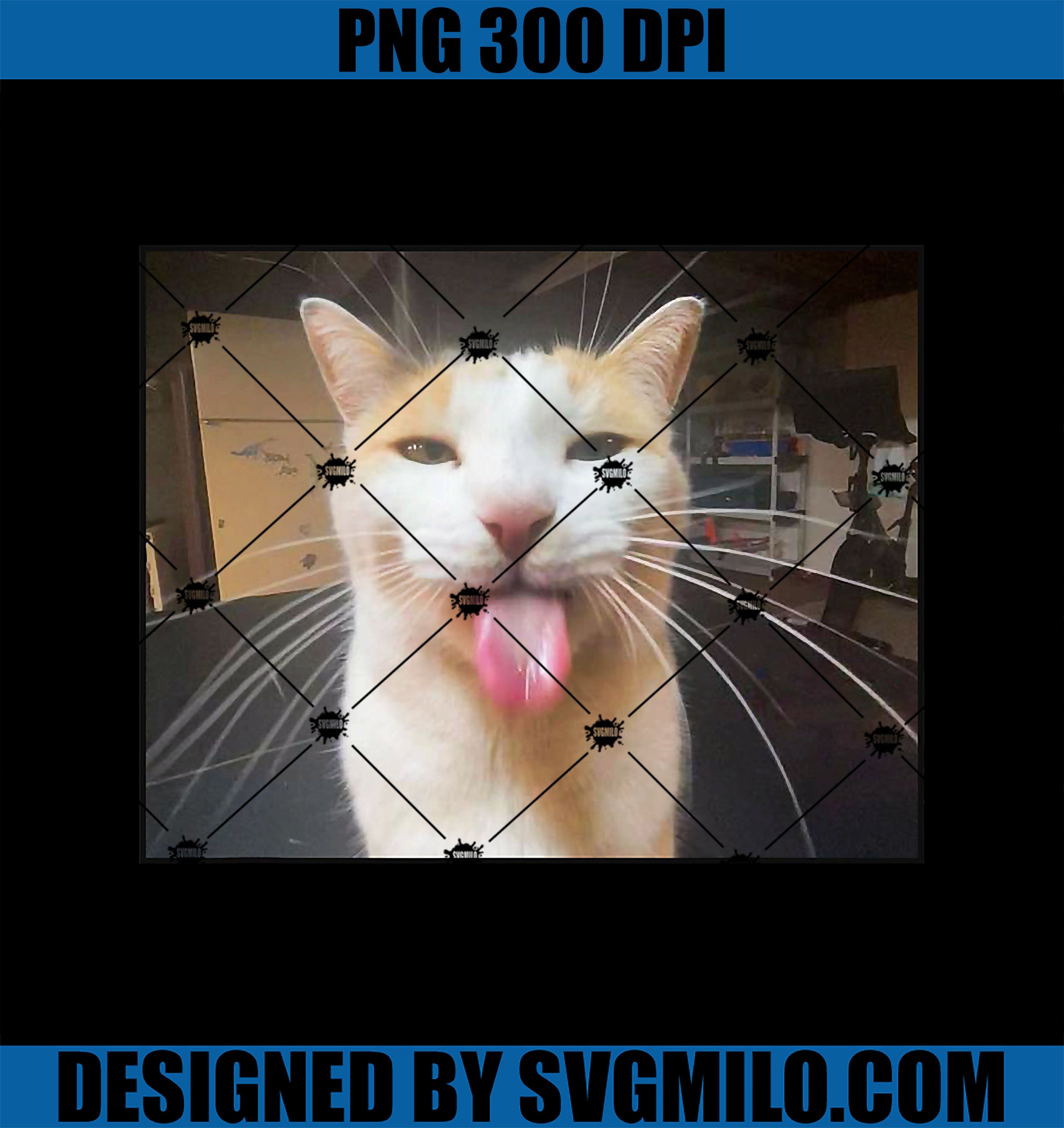 Silly Bleh PNG, Cat Meme PNG