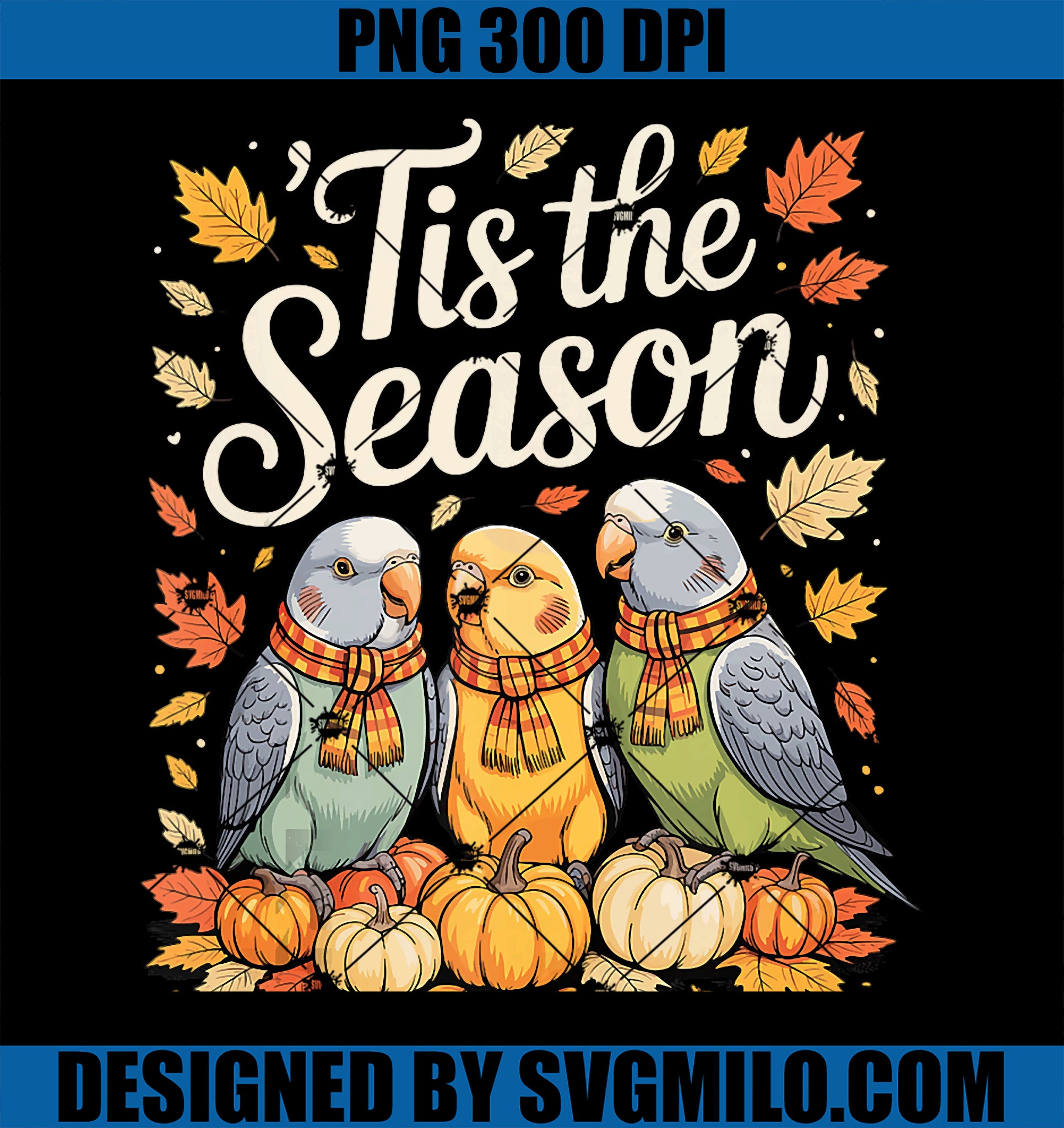 Tis The Season PNG, Indian Ringneck Parakeet Fall Autumn Pumpkin PNG