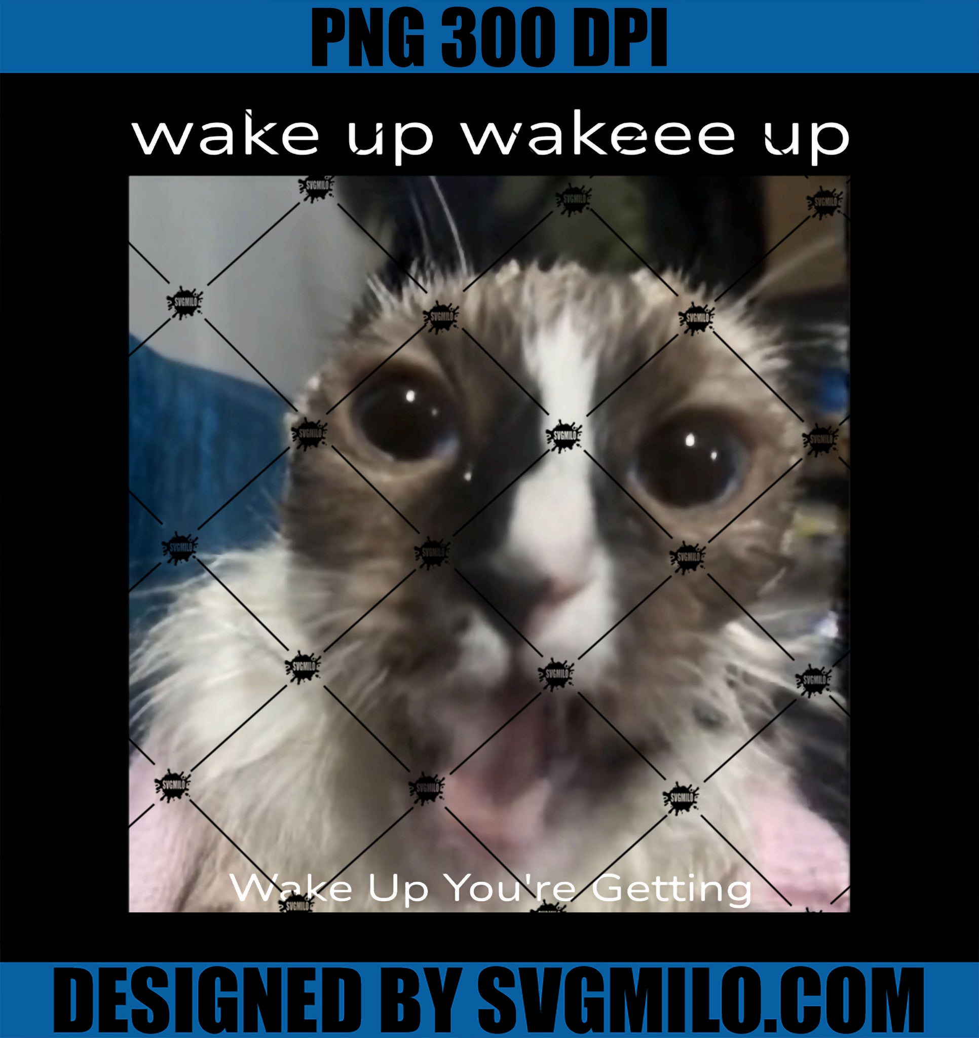 Wake Up Cat Meme PNG, Funny Brainrot Cat Meme Locked In Design PNG